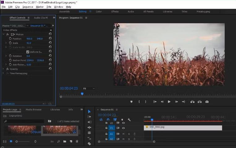 Le Migliori Alternative al Software di Editing Video Aviutl - Rene.E Laboratory